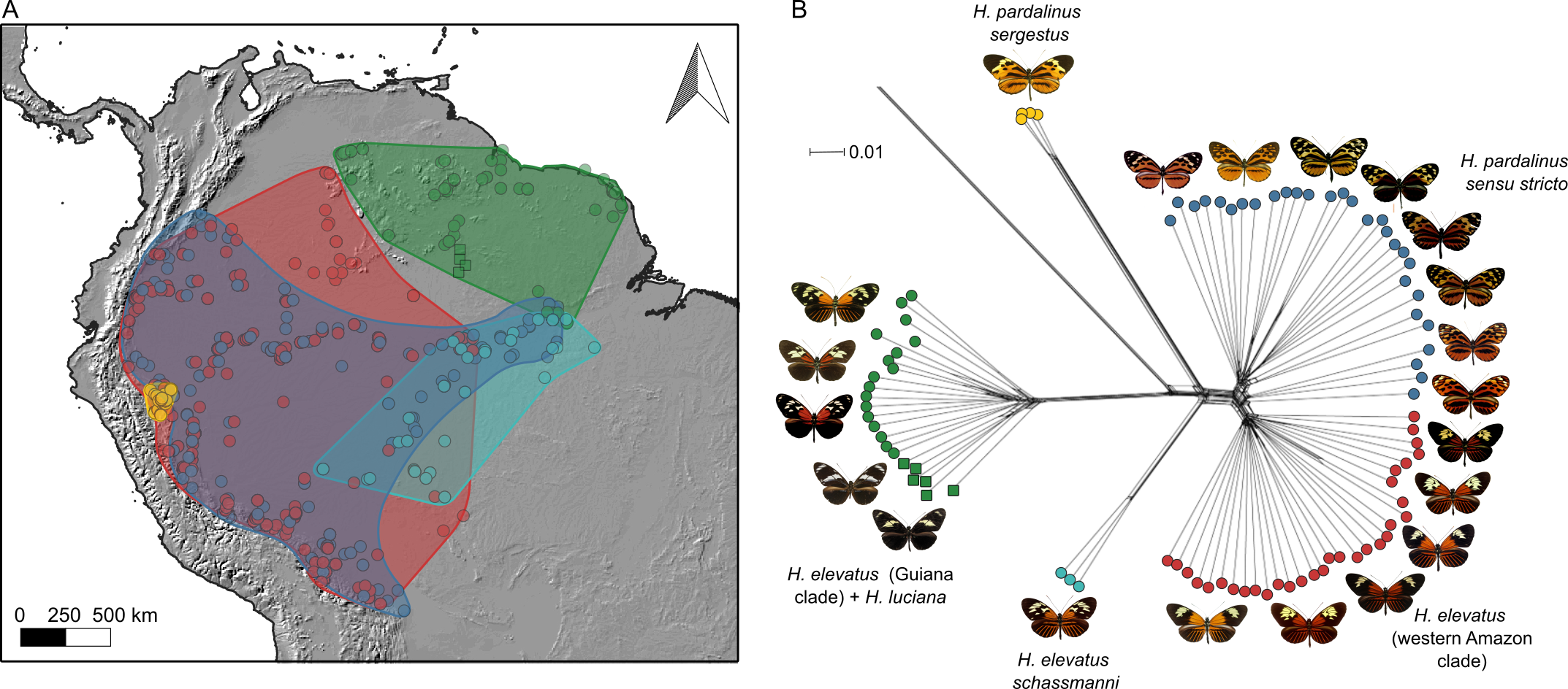heliconius-maps: Neil Rosser