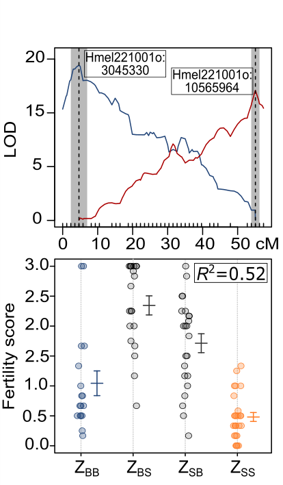 heliconius-maps: Neil Rosser